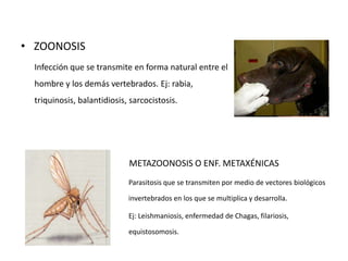 Leishmaniosis | PPTX