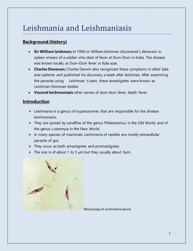 Leishmaniasis | DOCX | Infectious Diseases | Diseases and Conditions