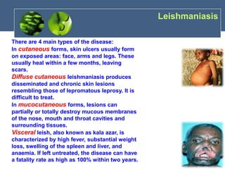 Leishm MUKHTAR FINAL.ppt