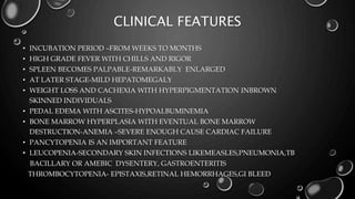 Leishmaniasis | PPTX