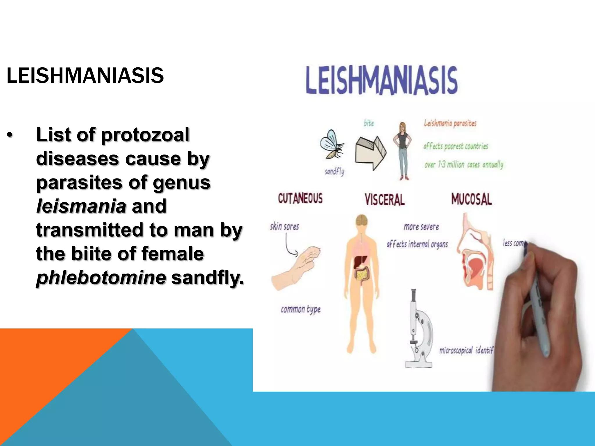 Leishmaniasis | PPTX