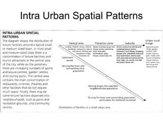Leisure at the local scale: Sport and Recreation | PPT