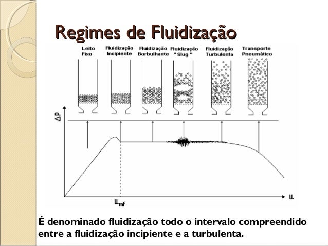 Leito fluidizado