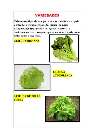 Leitugas | PDF