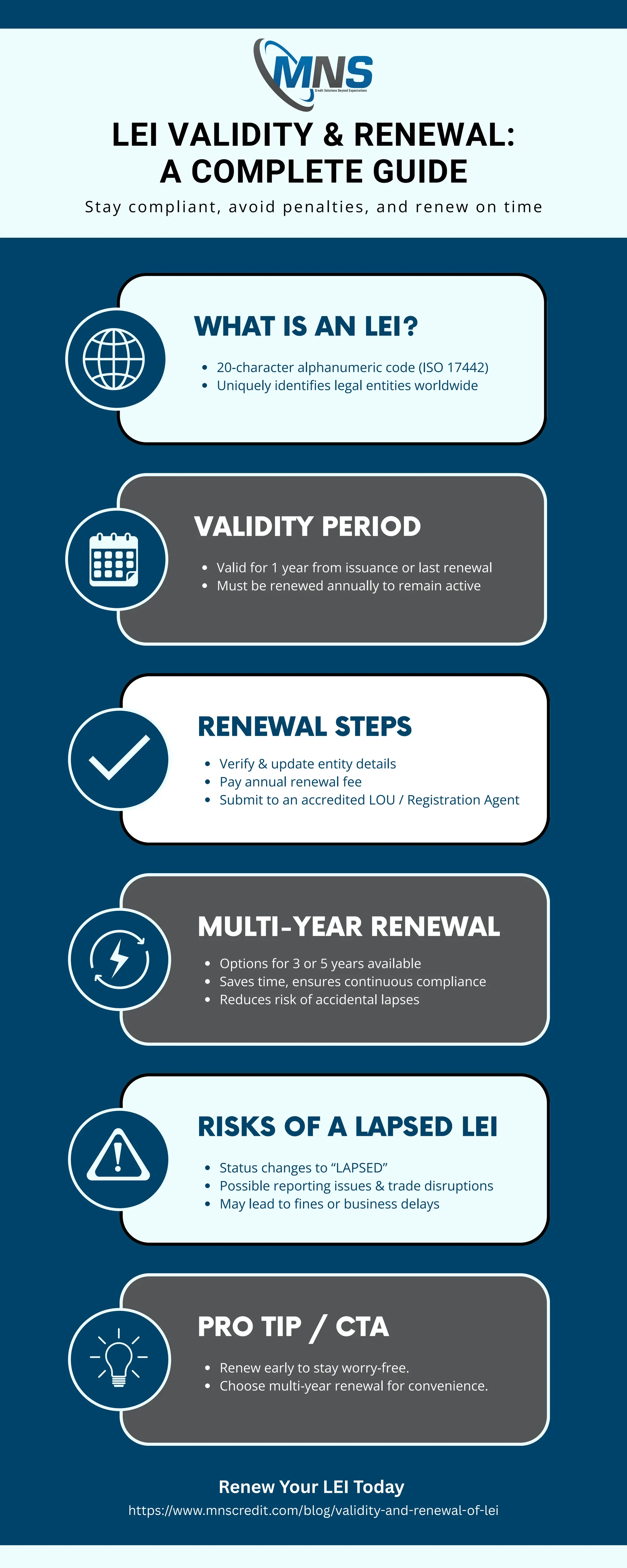 LEI Validity & Renewal: A Complete Visual Guide | PDF