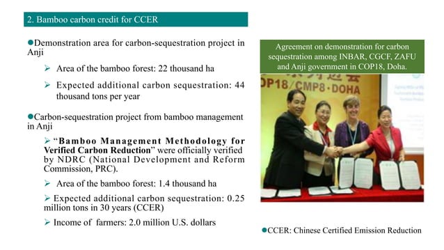 Lei Wang_System Thinking Bamboo | PPT