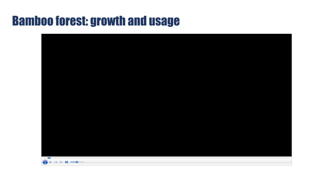 Lei Wang_System Thinking Bamboo | PPT