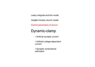 Neuron-computer interface in Dynamic-Clamp experiments | PPT