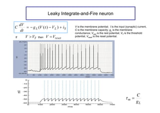 Neuron-computer interface in Dynamic-Clamp experiments | PPT