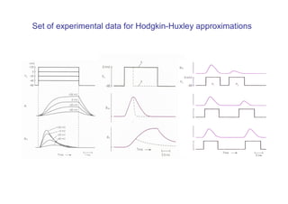 Neuron-computer interface in Dynamic-Clamp experiments | PPT