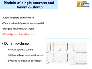 Neuron-Computer Interface in Dynamic-Clamp Experiments. Models of ...