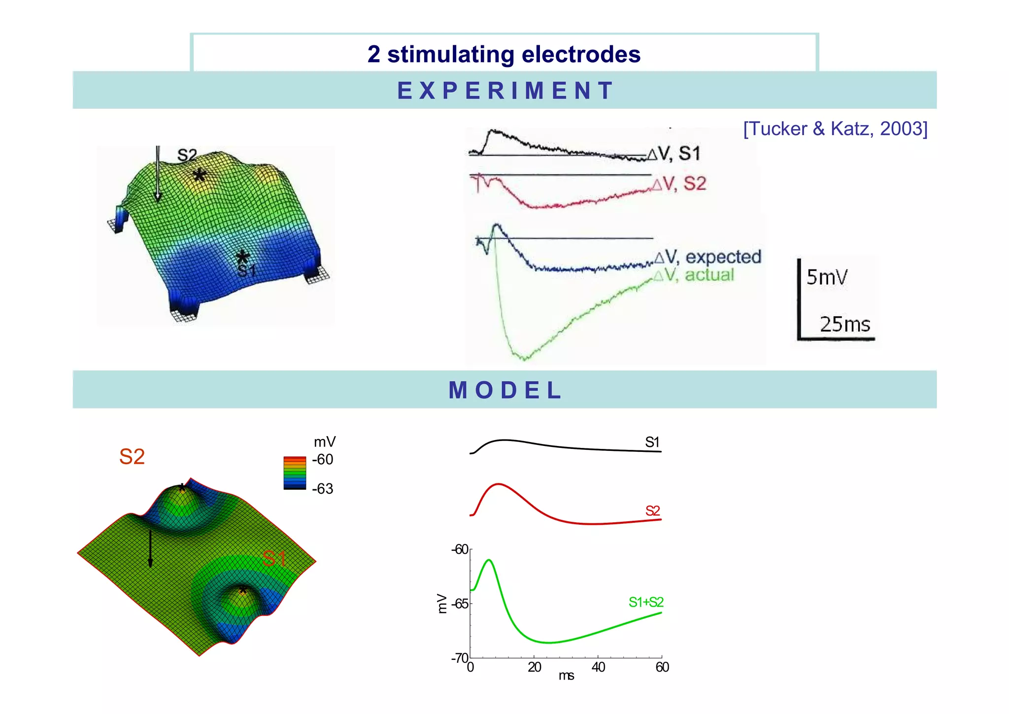 Hierarchy of visual cortex models | PPT