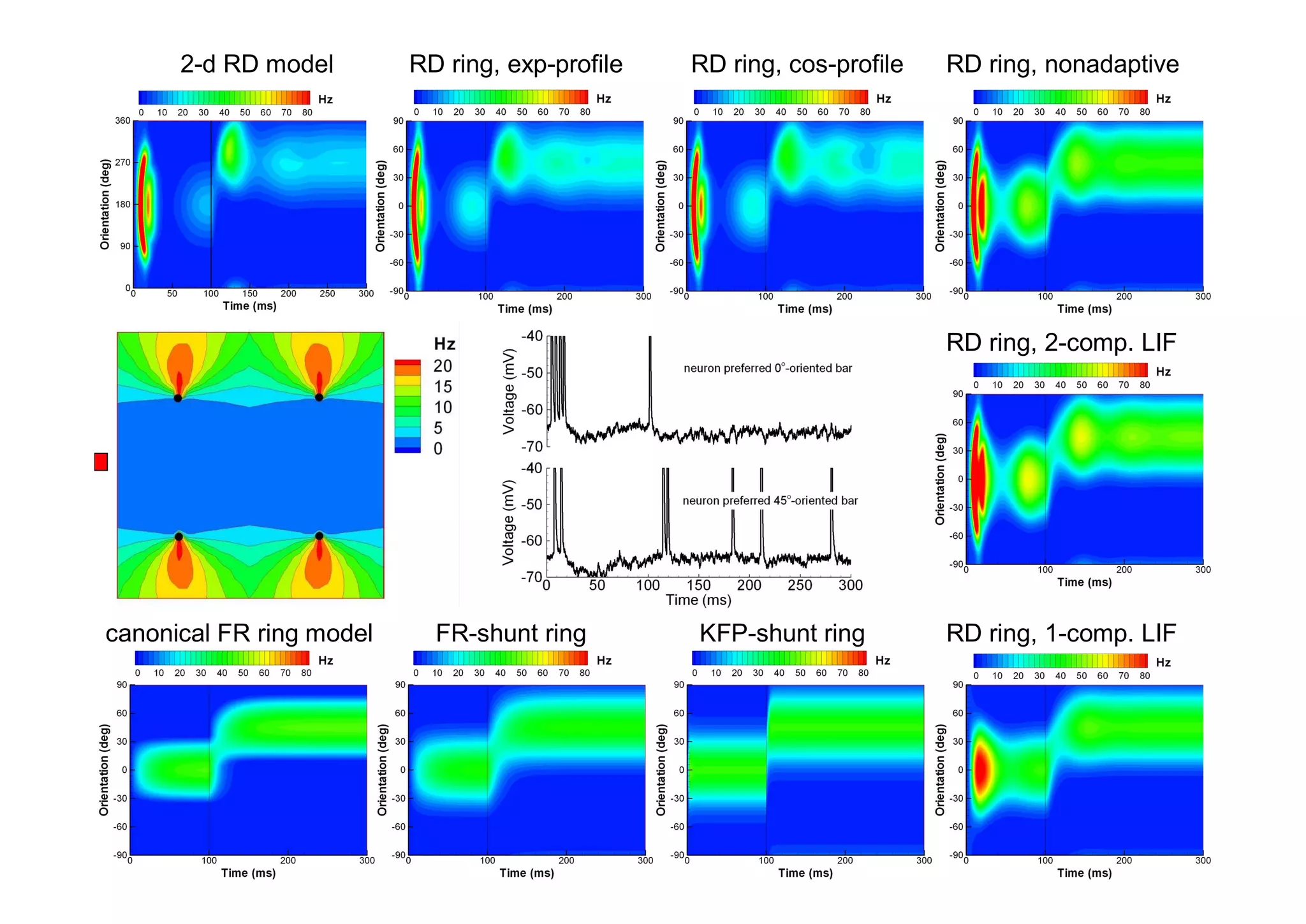 Hierarchy of visual cortex models | PDF | Home Entertainment Systems | Consumer Electronics