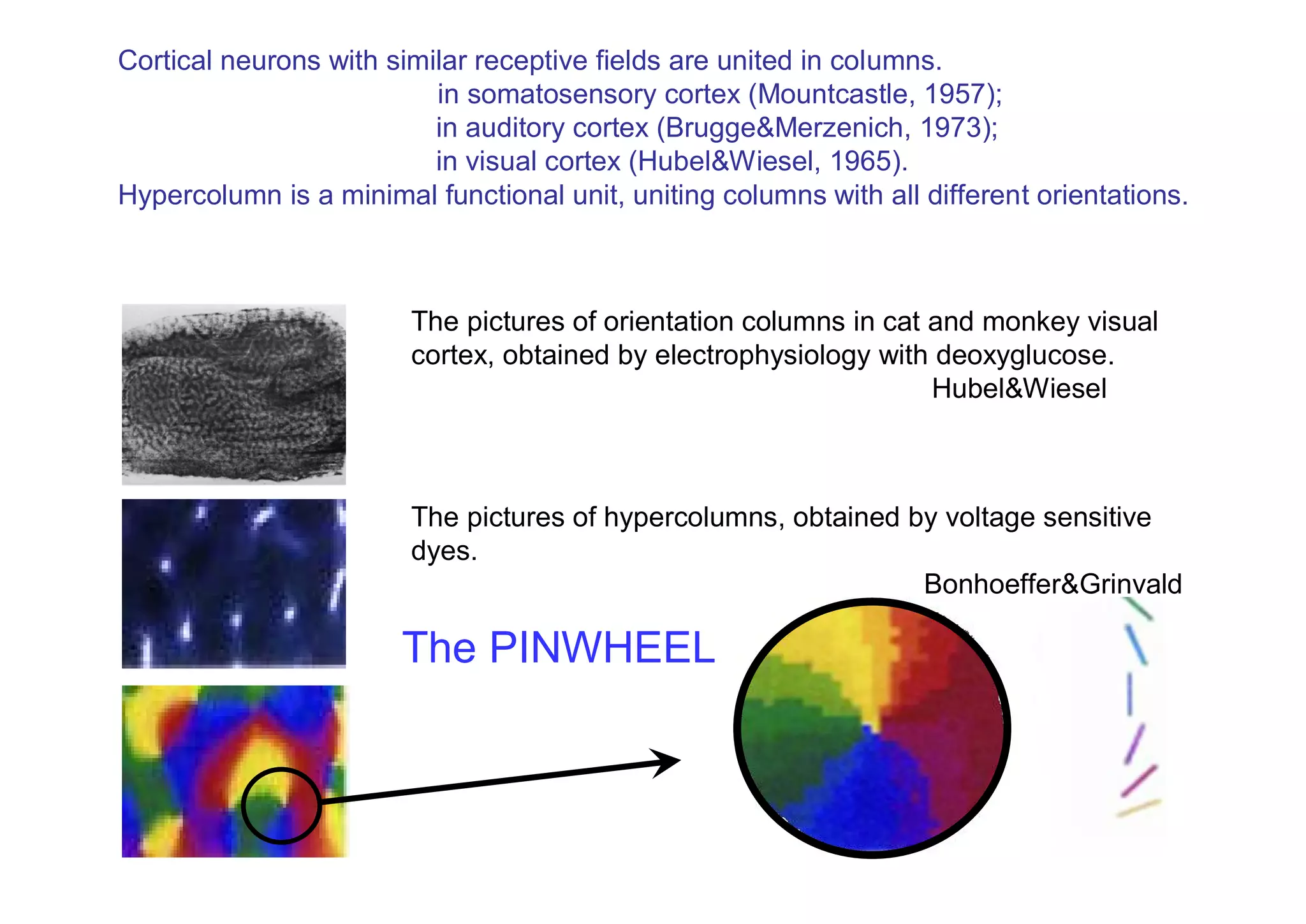Hierarchy of visual cortex models | PDF | Home Entertainment Systems | Consumer Electronics