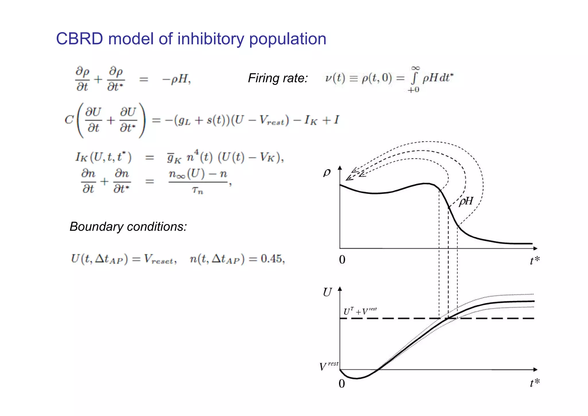 Hierarchy of visual cortex models | PDF | Home Entertainment Systems | Consumer Electronics