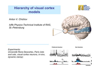 Hierarchy of visual cortex models | PDF | Home Entertainment Systems | Consumer Electronics