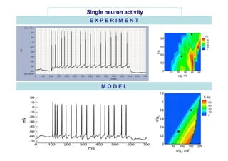 Hierarchy of visual cortex models | PDF | Home Entertainment Systems | Consumer Electronics