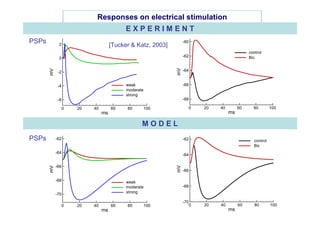 Hierarchy of visual cortex models | PDF | Home Entertainment Systems ...