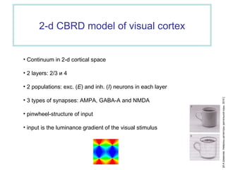 Model of visual cortex | PPT