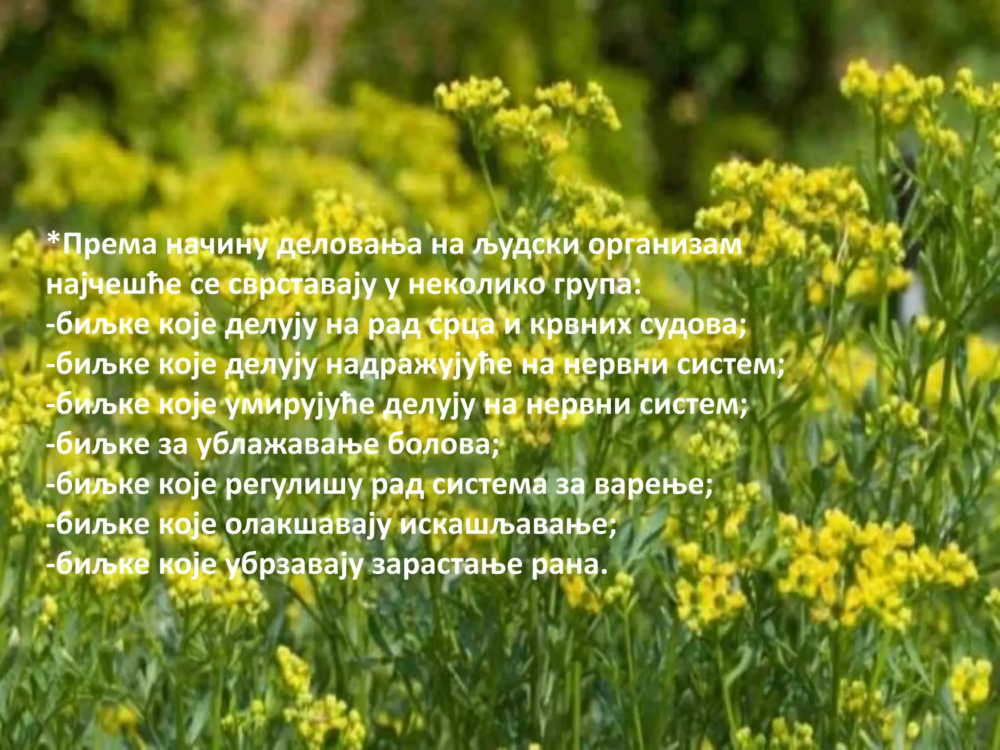 Lekovite biljke | PPT