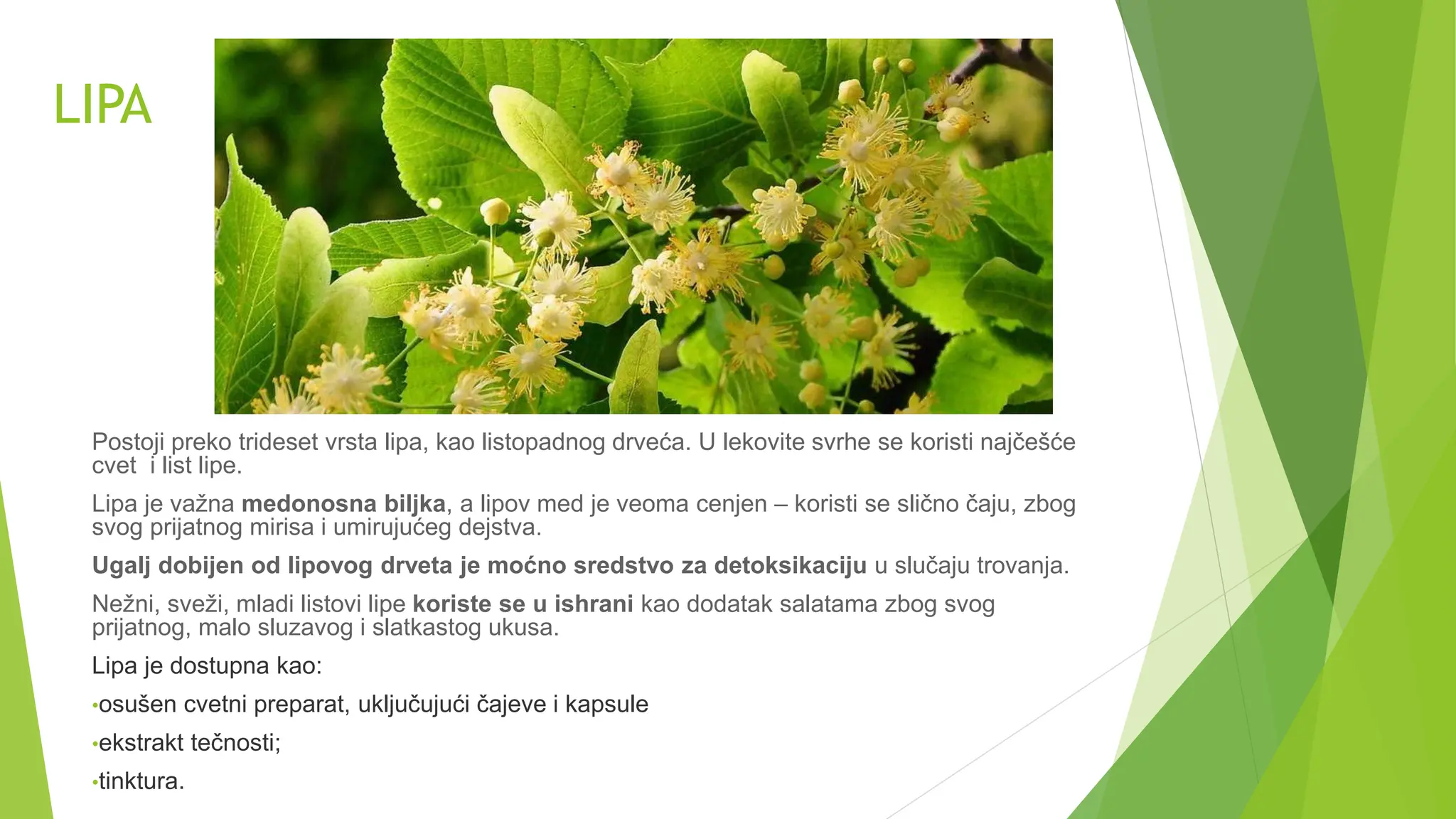 LEKOVITI I FIZIOLOŠKI PROIZVODI OD BILJAKA.pptx