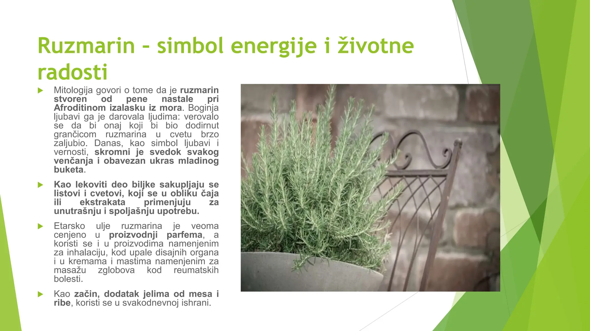 LEKOVITI I FIZIOLOŠKI PROIZVODI OD BILJAKA.pptx
