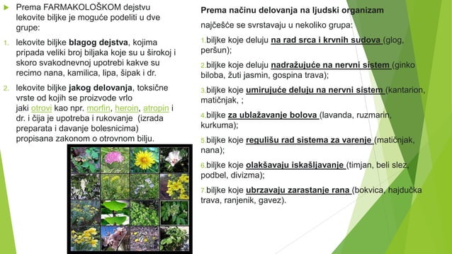 LEKOVITI I FIZIOLOŠKI PROIZVODI OD BILJAKA.pptx