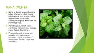 LEKOVITI I FIZIOLOŠKI PROIZVODI OD BILJAKA.pptx