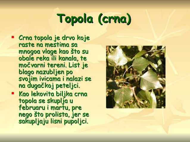 Lekovito bilje | PPT