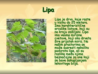 Lekovito bilje | PPT