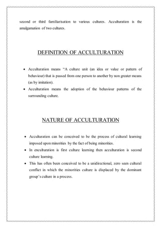 Acculturation Definition