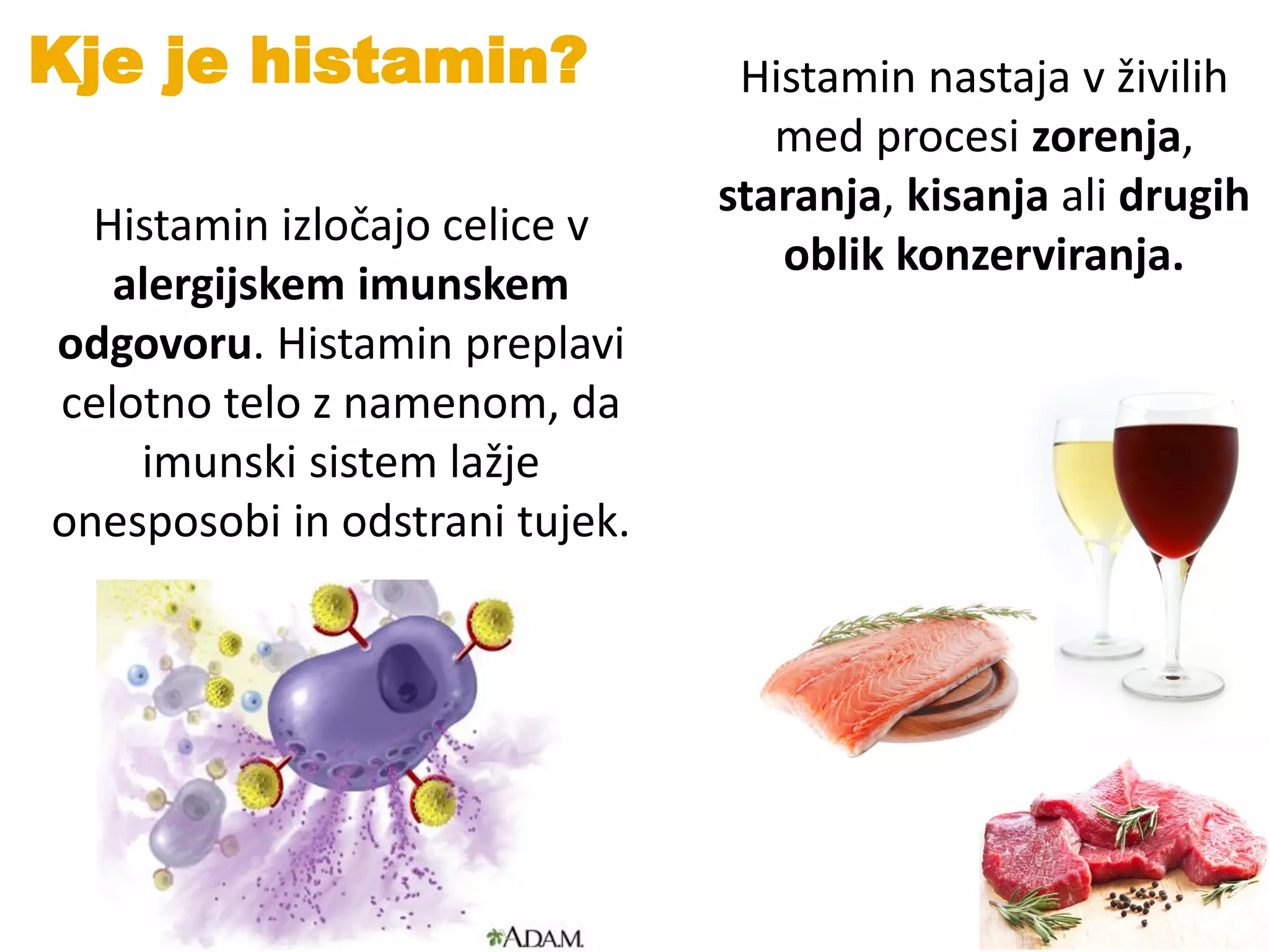 HISTAMINSKA INTOLERANCA: Občutljivost na histamin v prehrani | PPT