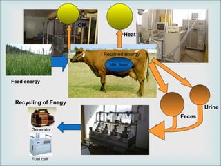 Lekts 7 | PPT | Indoor Environmental Quality | Home & Garden