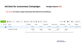 Lelamore Dec - Report.pptx