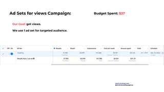 Lelamore Dec - Report.pptx