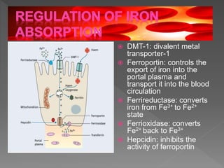 Iron Deficiency | PPT