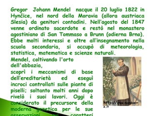 Le leggi di Mendel Rosaria Ruggirello 3G | PPTX