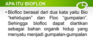 Management Budidaya Ikan lele secara SISTEM BIOFLOK.pdf
