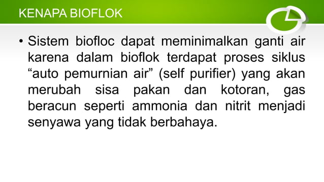 Management Budidaya Ikan lele secara SISTEM BIOFLOK.pdf