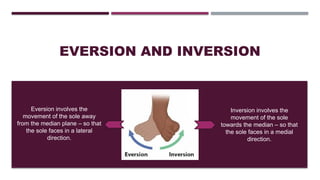 the body motion. general academic strand | PPT