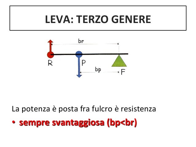 LE MACCHINE SEMPLICI - Coggle Diagram