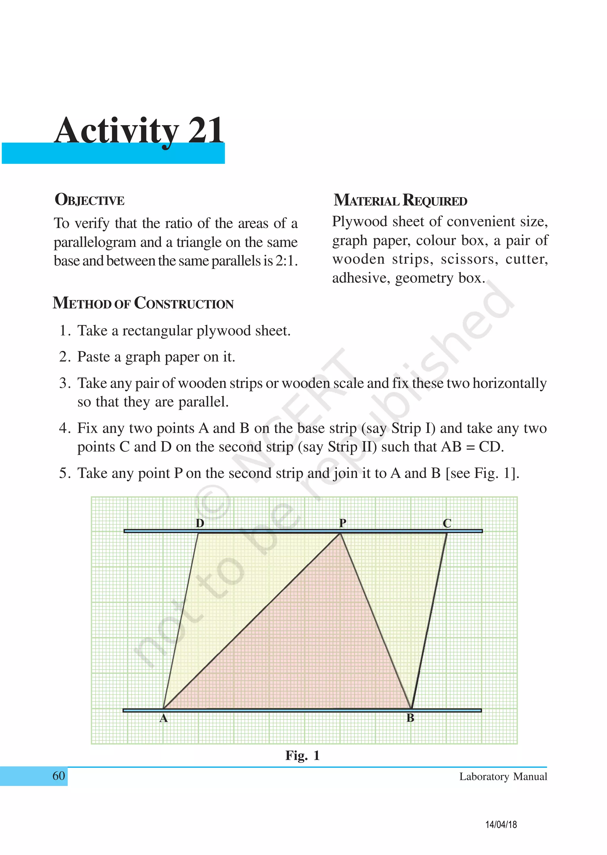 Maths practical activities class 9.pdf