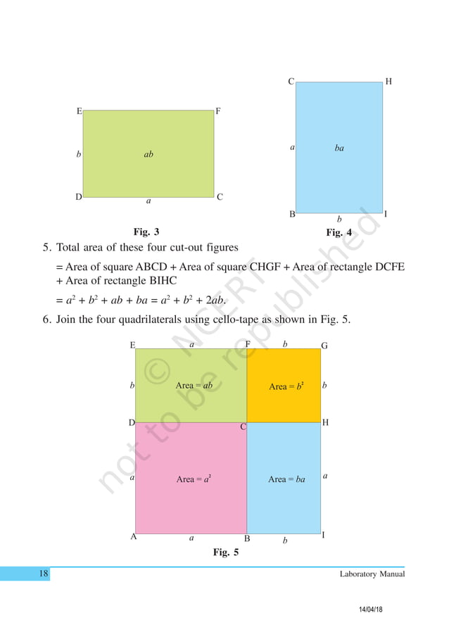Maths practical activities class 9.pdf | Homework and Study | Education