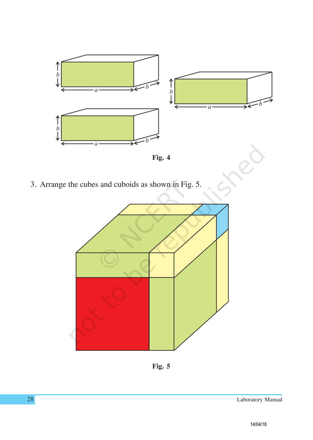 Maths practical activities class 9.pdf | Homework and Study | Education