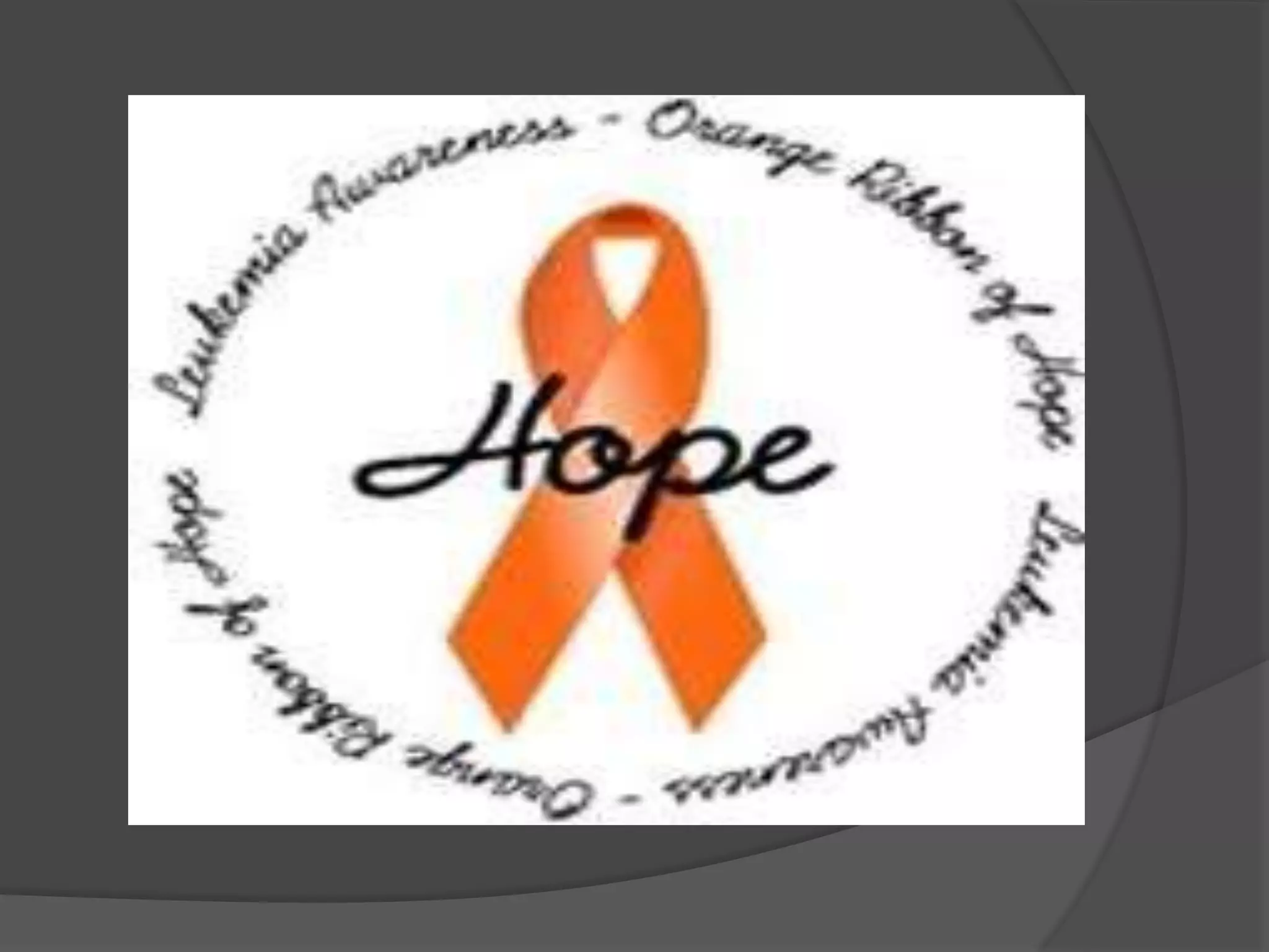 Lely tech project | PPT