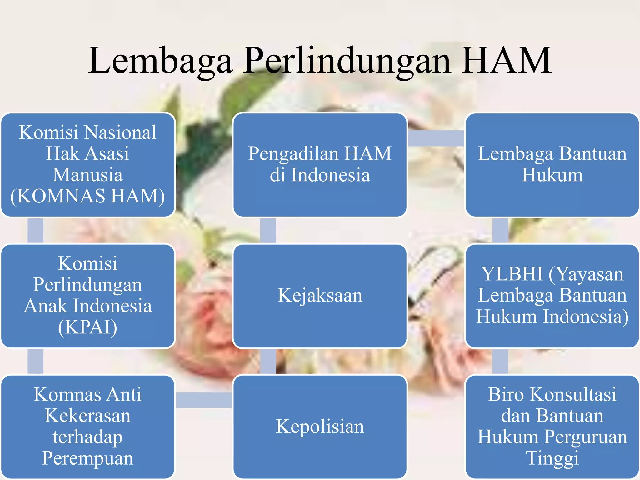Lembaga perlindungan ham | PPTX