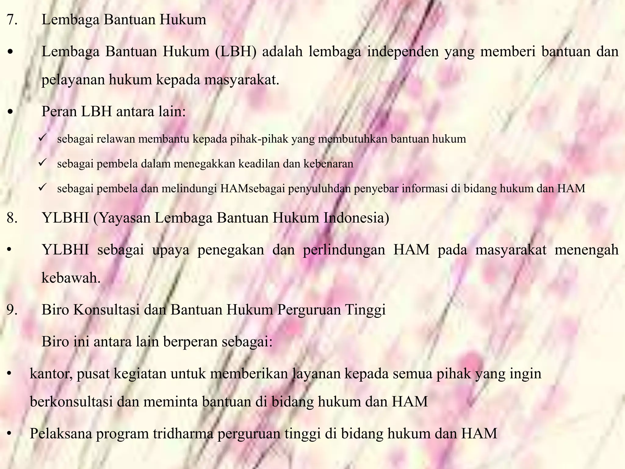 Lembaga perlindungan ham | PPTX