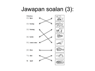 Lembaran kerja | PPT