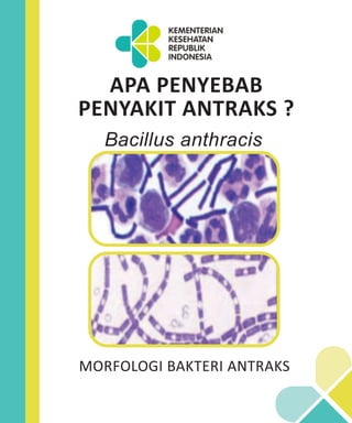 Lembar Balik ttg penyakit Antraks 2021.pdf