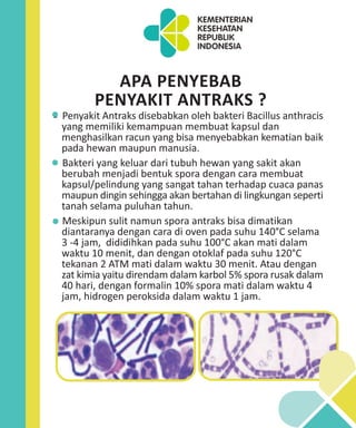 Lembar Balik ttg penyakit Antraks 2021.pdf